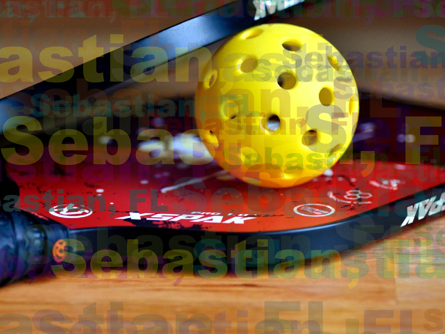 Sebastian Pickleball - Where to Play & Learn